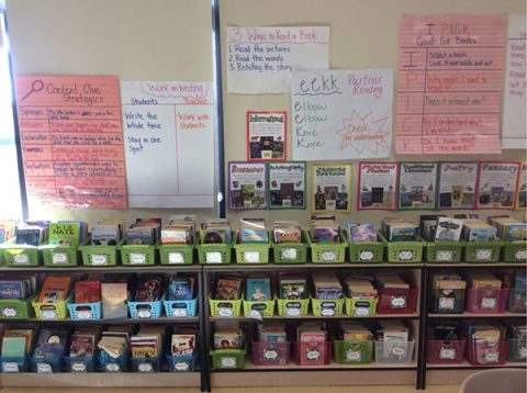 Building a Culture of Reading in your School and Classroom - Houck ...